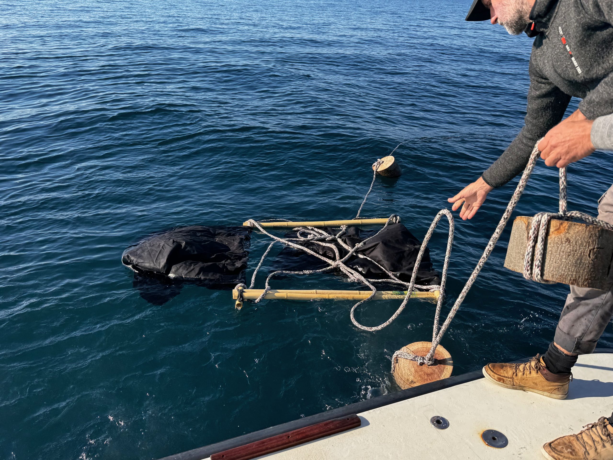 More than a FAD - EcoFADs - Searcular